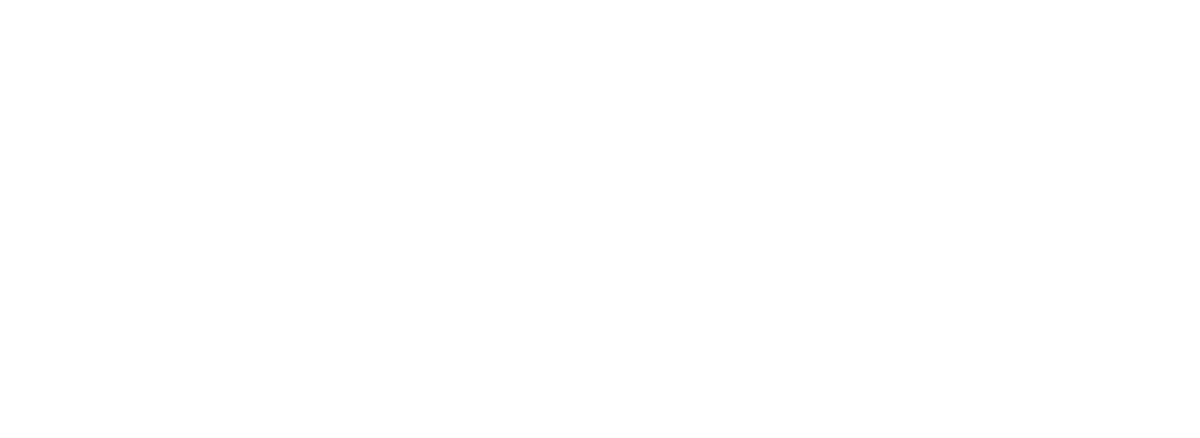Best Managed It Services Sedalia Columbia Kansas City Lammtech